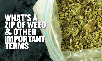 Buying Weed Online 101: Zip Measurement & More 🌿 | Daily High Club