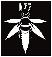 Bzz Box - Daily High Club