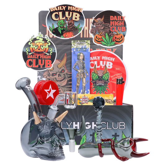 Monthly Themed Box Subscription 📦 | Daily High Club